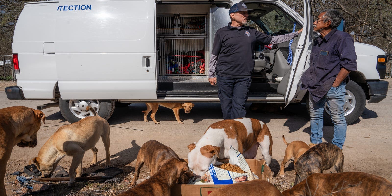 'It's the right thing to do': Austin man takes care of homeless animals ...