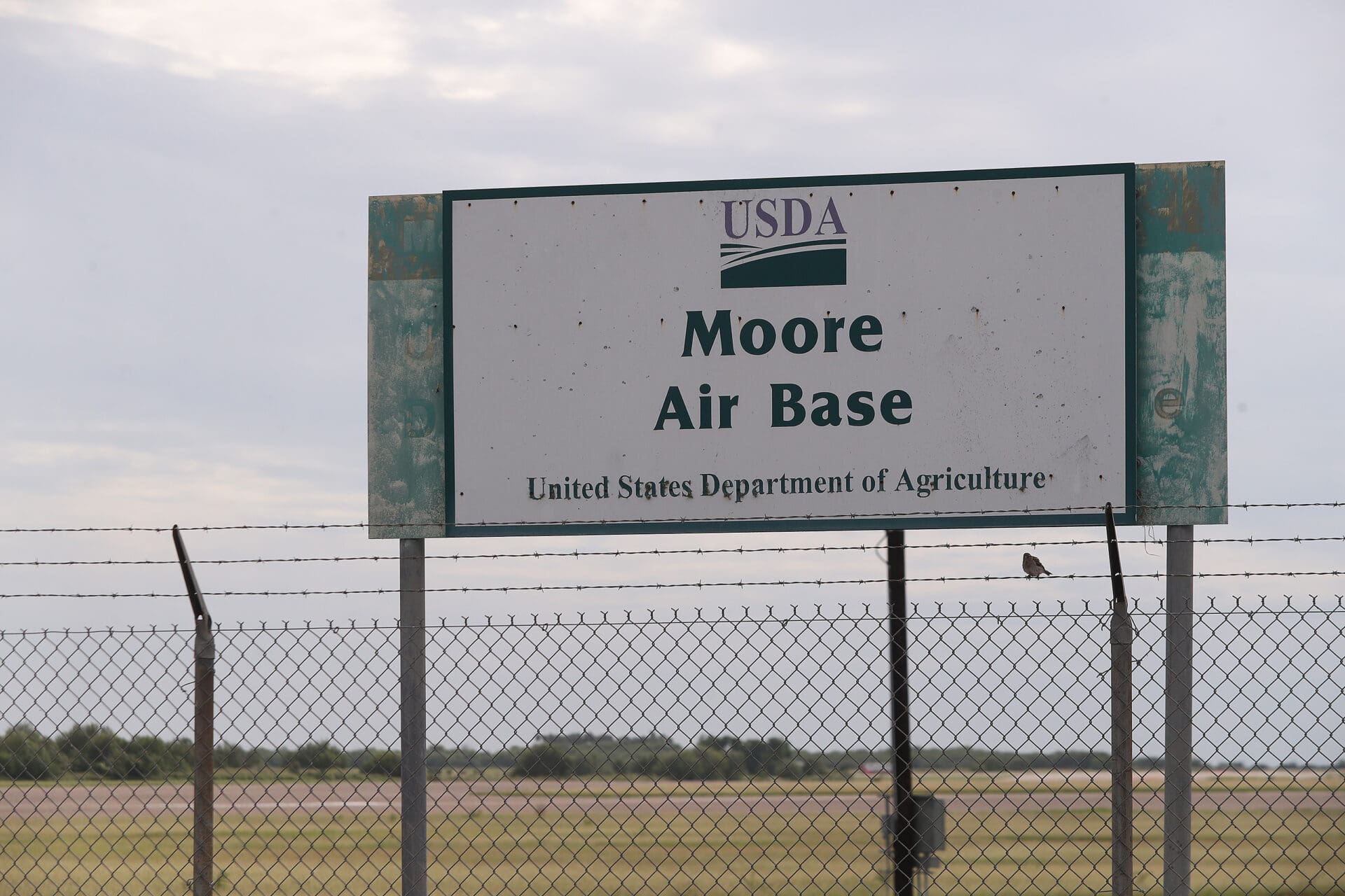 The screwworm program is returning to Moore Field. What you should know ...